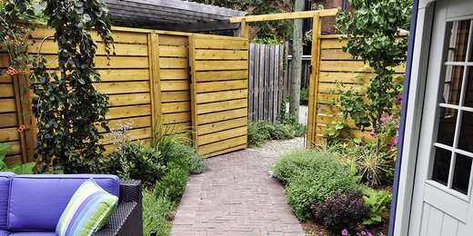 5 Native Plants for Small Spaces | Blog | Wallace's Garden Center ...