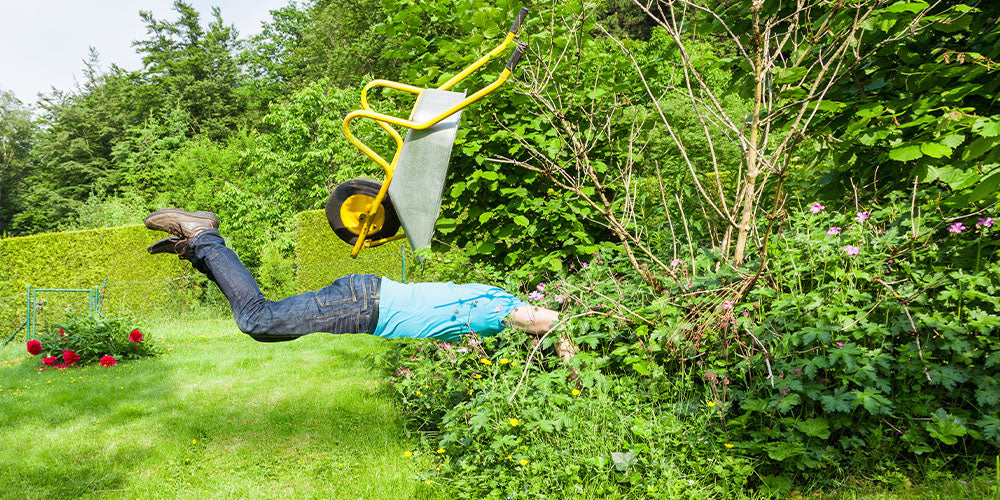 Gardening Fails We’ll Learn from In 2021 – wallacegardencenter