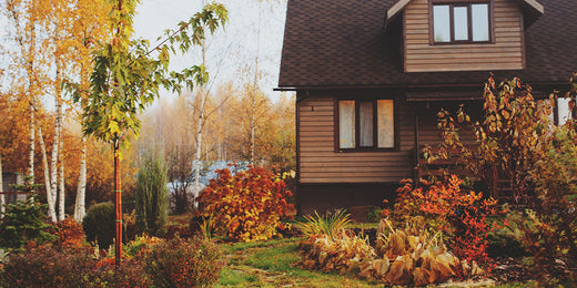 Get Your Garden Ready for Winter Hibernation | Blog | Wallace's Garden ...