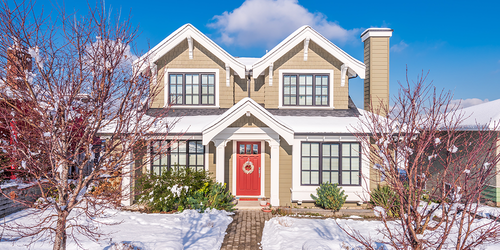 How to Protect Trees and Shrubs from Winter Damage – wallacegardencenter