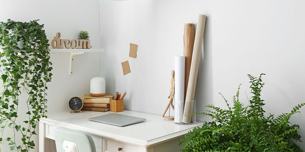 Spruce Up your Work/Study Space with Houseplants – wallacegardencenter